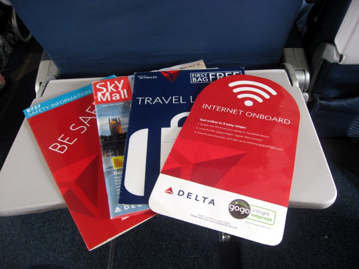 US Domestic Flight with Delta Air Lines